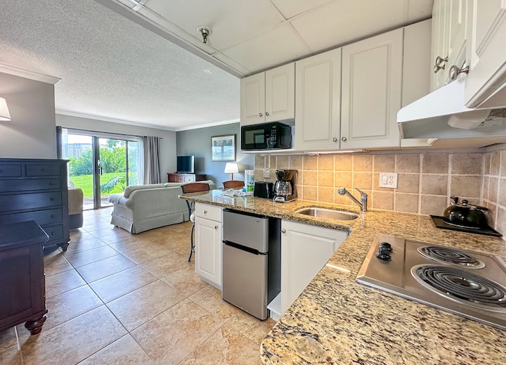 Ground Level-universal Area-studio 1 Queen/sleep 3 - Orlando
