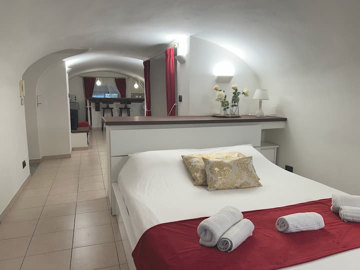 17th Century Vaulted Suite - Turin