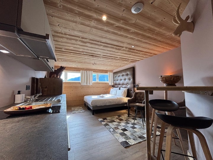 (N°24) Elephant Man, Suites & Apts - Montriond