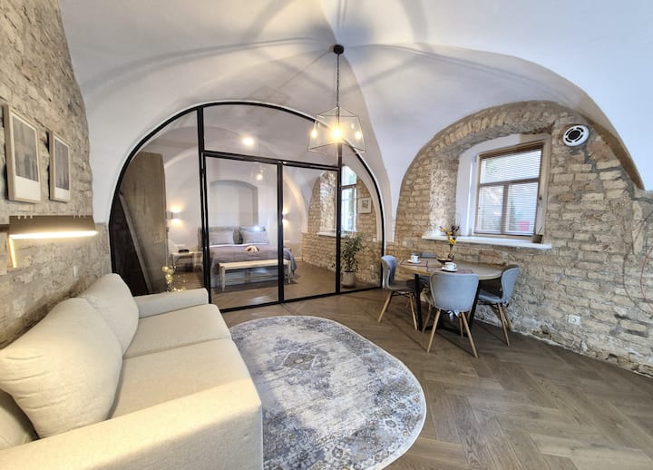 Exclusive Old Town Apartment - Wilno