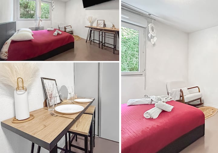 Petit Cocon à Caluire – Accès Rapide à Lyon - Caluire-et-Cuire