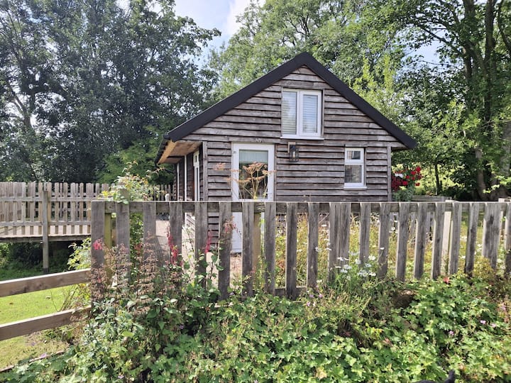 Timber Chalet, Private Woodland Walks - North Wales