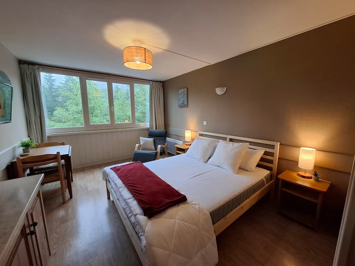 Studio Cosy - Lit Queen, Pkg Privé, Menage Inclus - Le Lioran