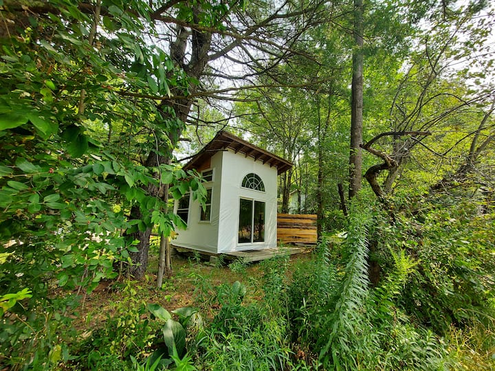 Ah Forest Sanctuary - Finger Lakes, NY