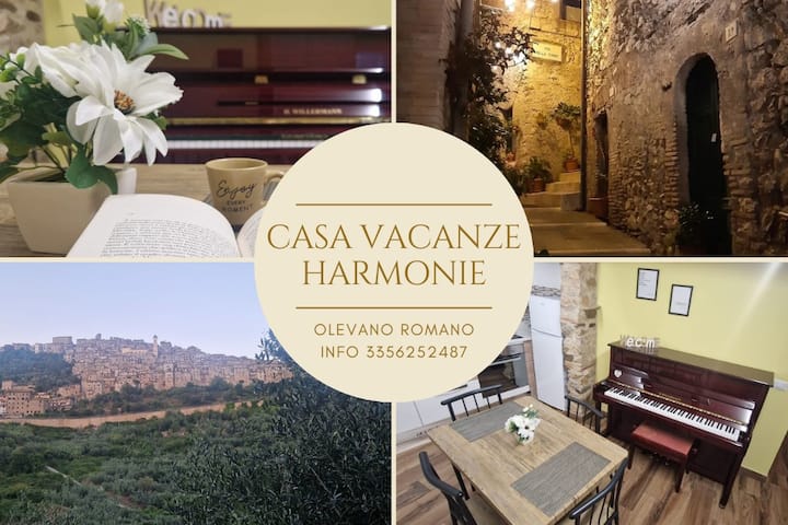 Accogliente Casina Nel Centro Storico Di Olevano. - Subiaco