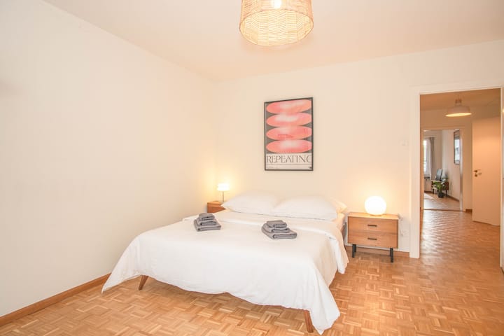 Central 2-bedroom Apartment With Baselcard - Basel