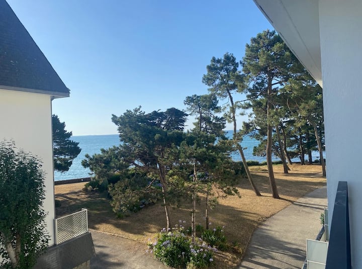 49 M2
Emplacement Exceptionnel Sur 2 Plages - Carnac