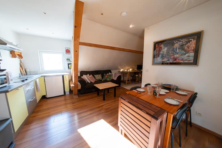 Les Toits Du Carteron - Annecy