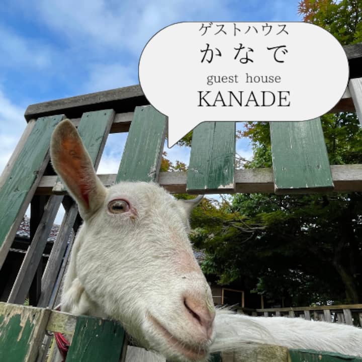 Guest Housekanade Room A 【8畳】 - Niigata