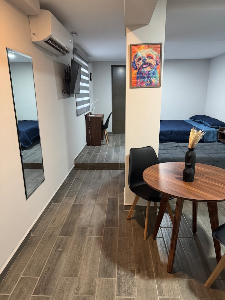 Espacioso Loft En Col. Anáhuac - San Nicolás de los Garza