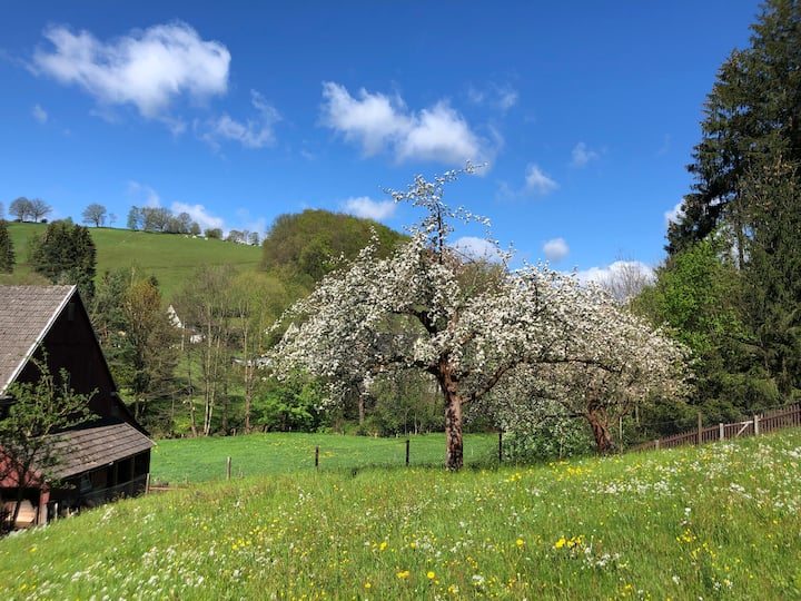Abschalten Der Natur - Zschopau