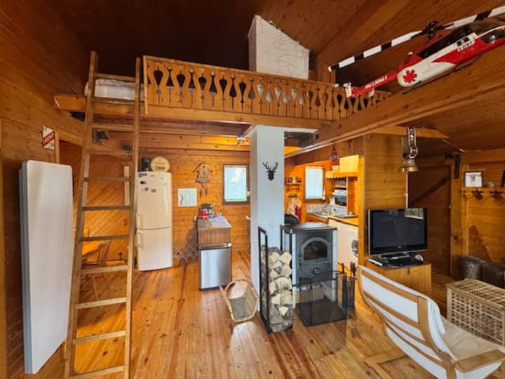 Ski Et Vue Au Chalet Estrela - Allevard