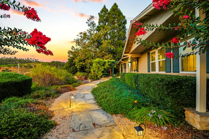Doxie Ranch - Serene Vineyard Escape - Geyserville, CA
