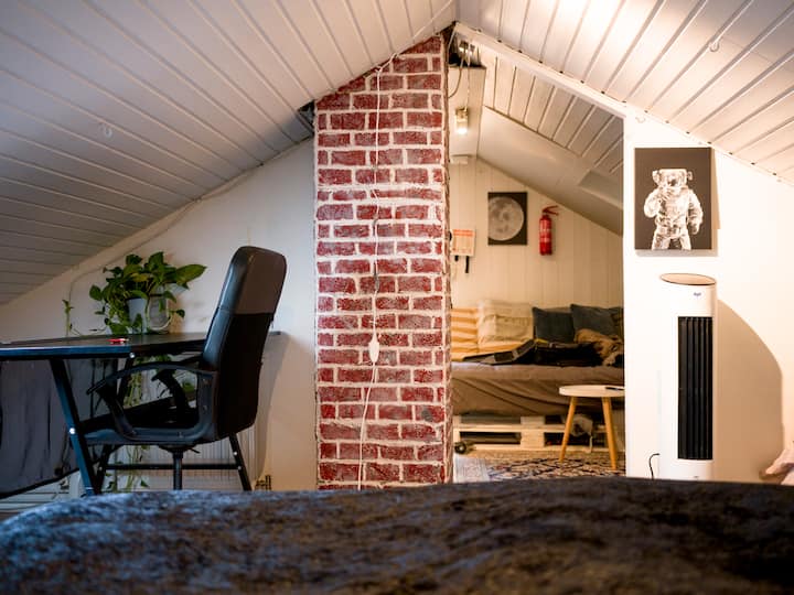 Cozy Attic Apartment Reykjavík - Reykjavík