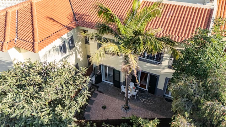 Palm Tree By Your Key - Caniço