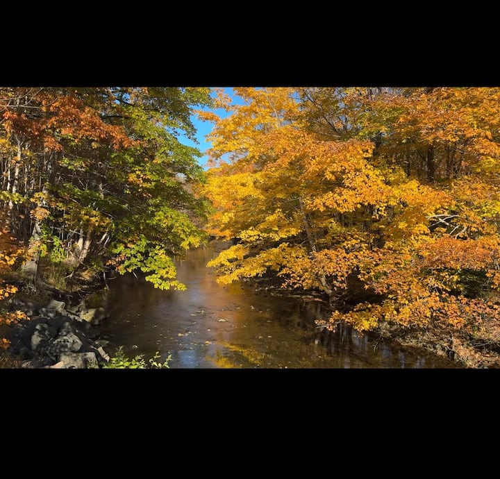 Ananda - Enchanted Forest Hideaway - Cape Breton Island