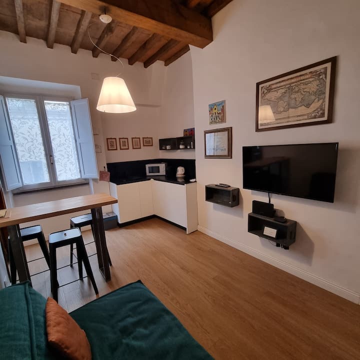 Incantevole Appartamento In Santo Spirito - Florence