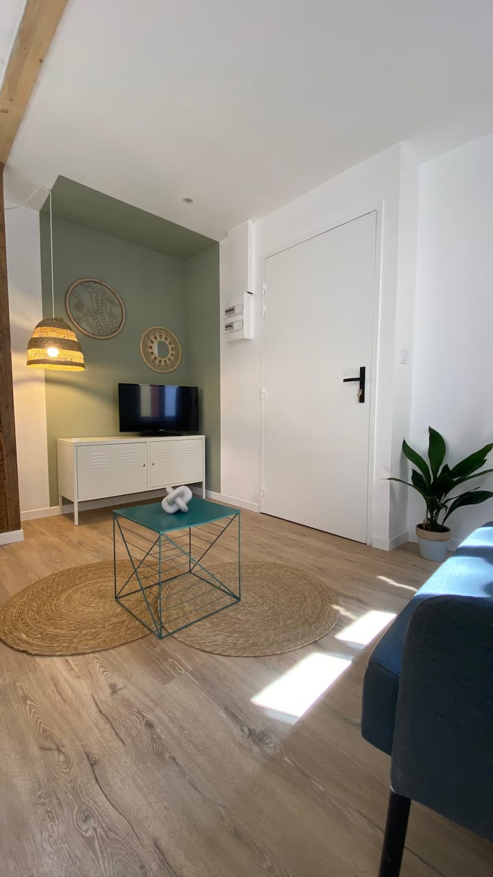 Studio "Verge D'or" 4 - Toulouse