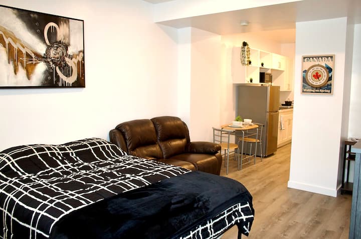 Stylish Studio W/ Kitchenette - Greater Sudbury