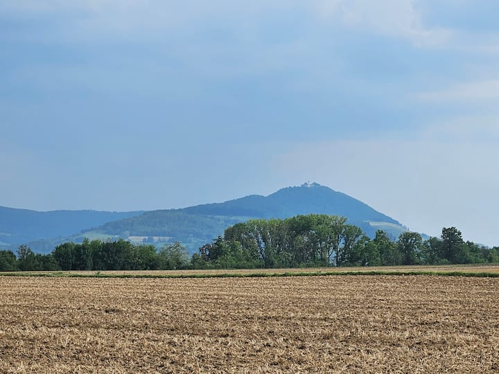 Modernes Stadthaus -"Natur Trifft Urban+messe" - Kirchheim unter Teck