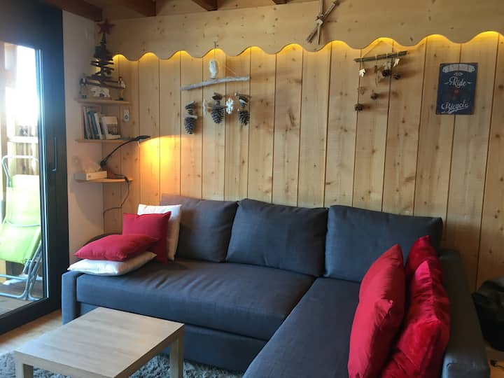 Chalet Appartement : Guzet - Guzet-Neige
