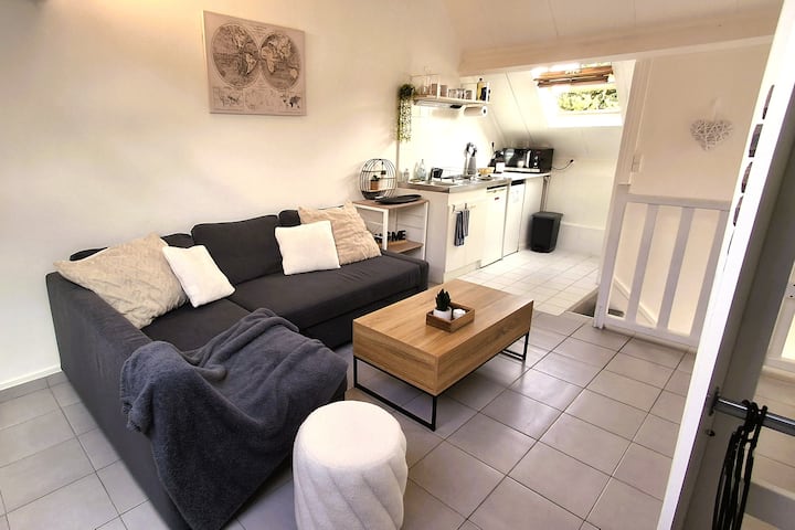 Studio Avec Mezzanine & Convertible à 17min Disney - ibis Paris Marne la Vallee Emerainville