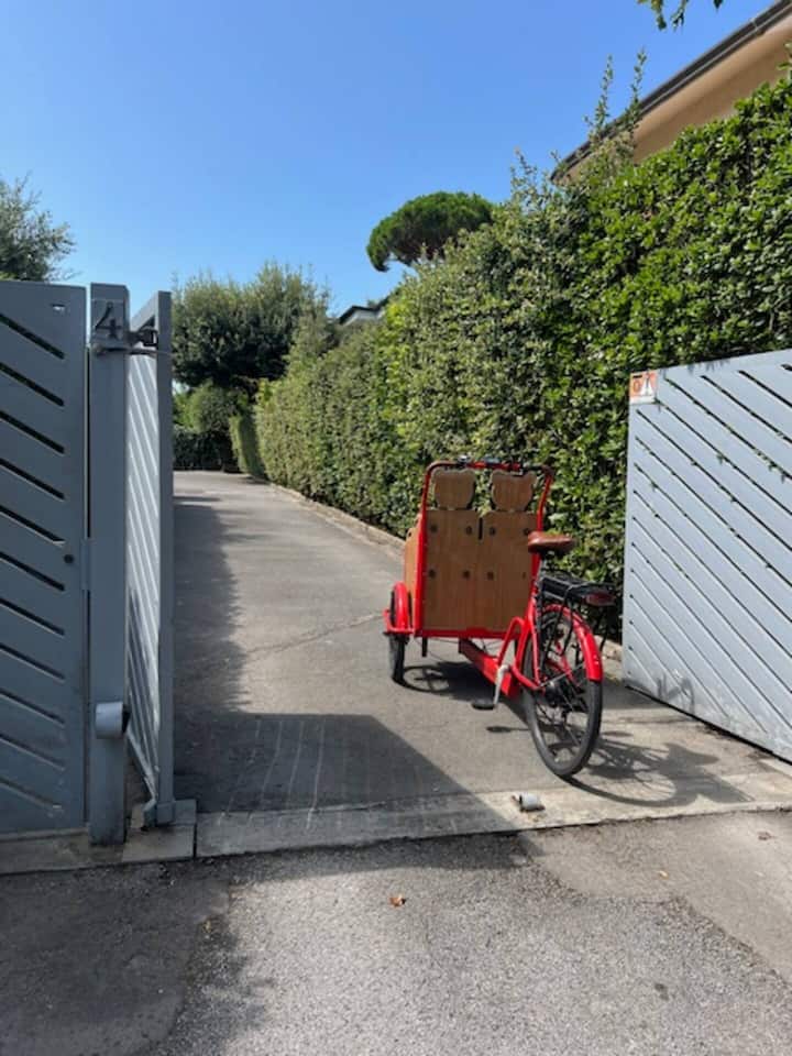 Love In Versilia - Massa