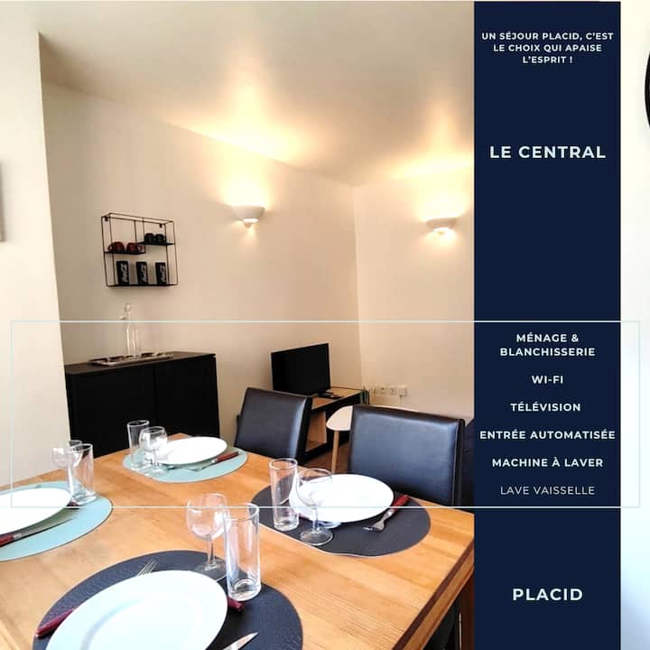Le Central - Wifi - Hyper Centre - Gap