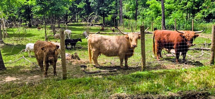 Poquito Casa Azul - Waynesville, OH