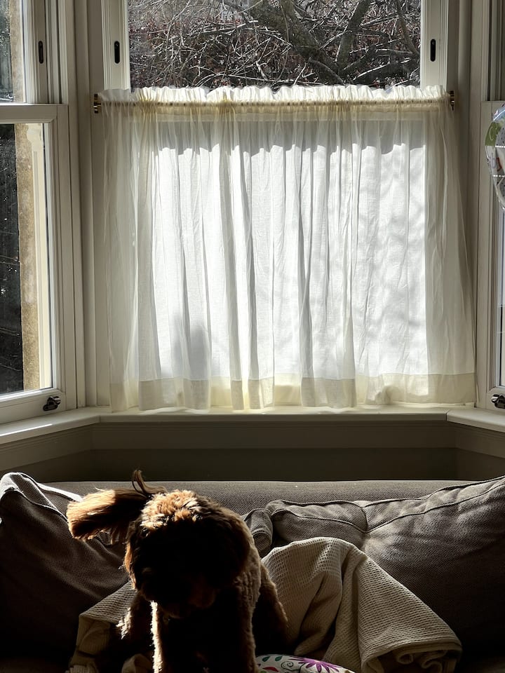 Cosy Victorian Home In Frome - Frome