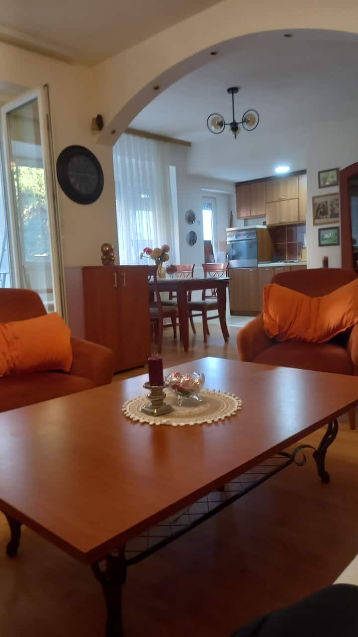 Central Deva Apartmant - Skopje