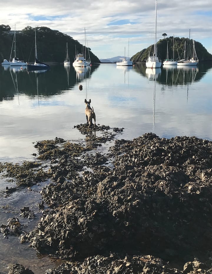 Opito Bay Holiday Home - Bay Of Islands