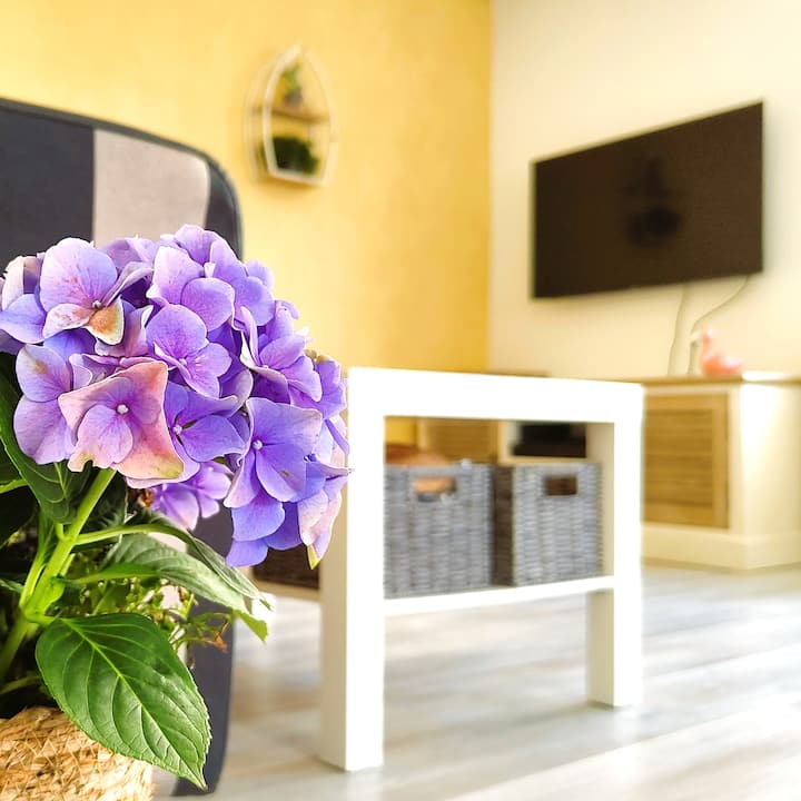 Altstadtwohnung Mit Dachterrasse - Wismar