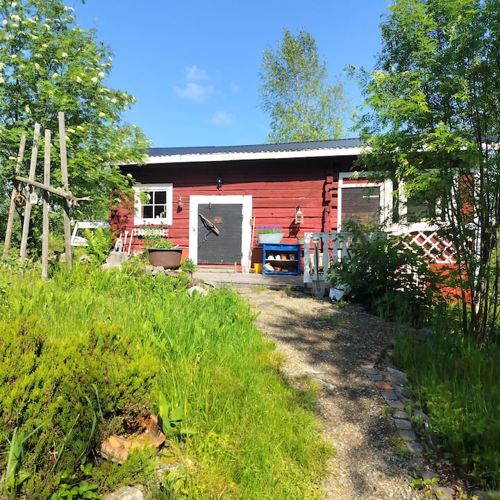 Riihirannan Mökki - Kuhmoinen