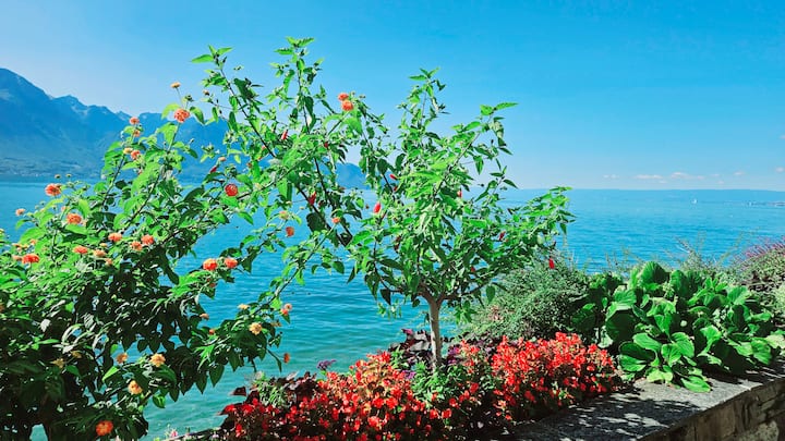 Central, 50m Lake/quais Fleurs. - Montreux