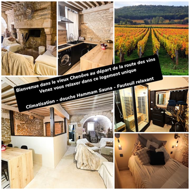 Charme Ancien Et éVasion Bien-etre Sauna/hammam - Chenôve