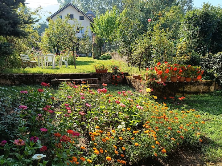 Villa  Gracia - Sarajevo