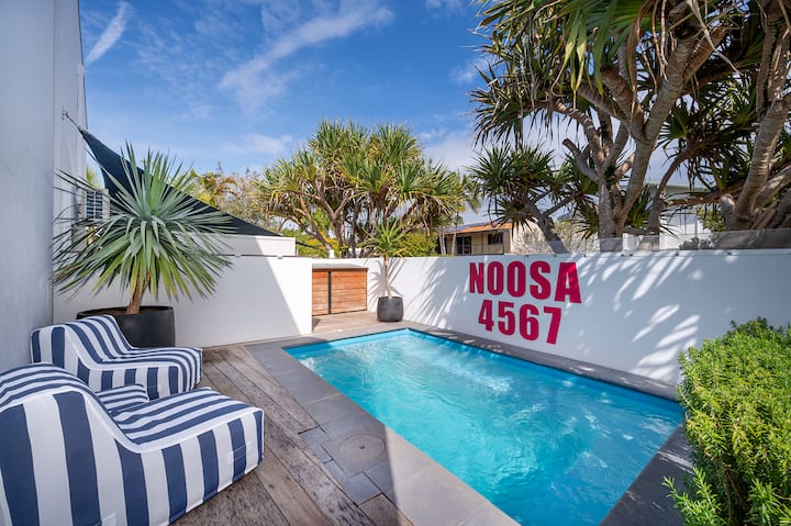 Alamode - ノーサ・シャイア