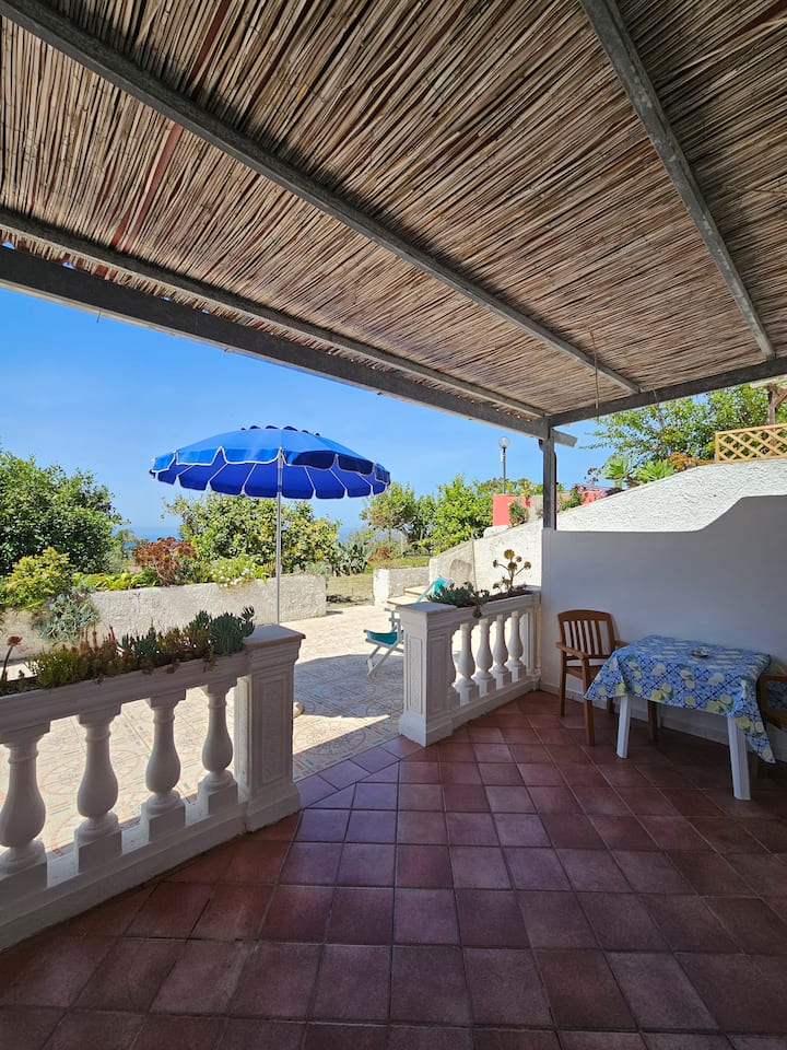 Monolocale In Giardino - Lacco Ameno