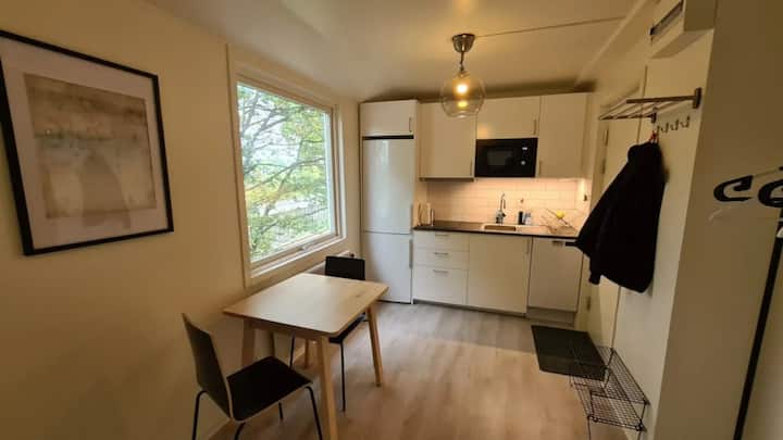Egen Lägenhet På 28m² - Gothenburg