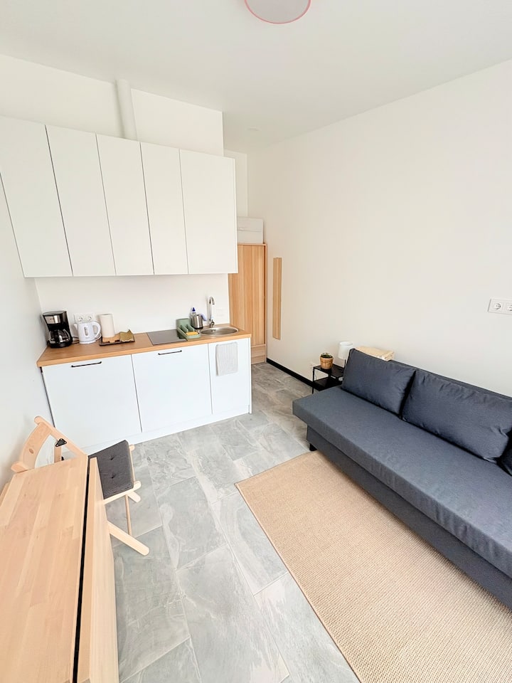 Quiet And Peaceful Studio Apartment In Courtyard - リガ