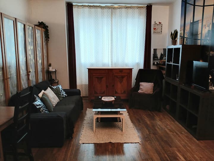 Appartement Au Cœur De Paris - Cardinal Lemoine - Paris