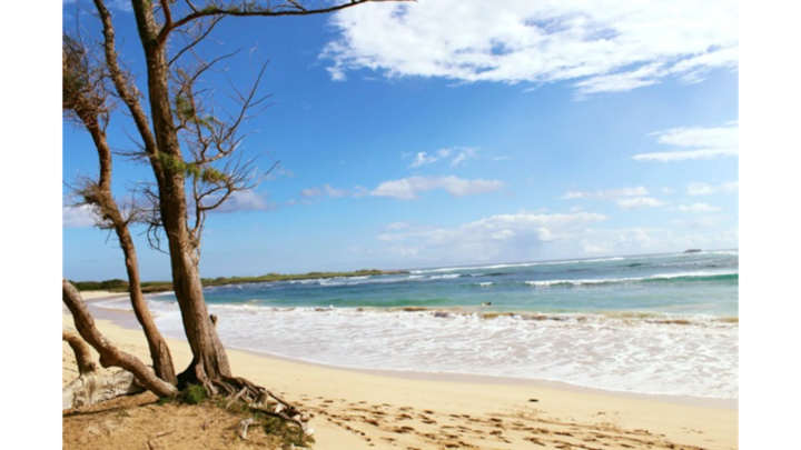 Family House | 5 Bedrooms | Close To Beach | Ac - Laie, HI