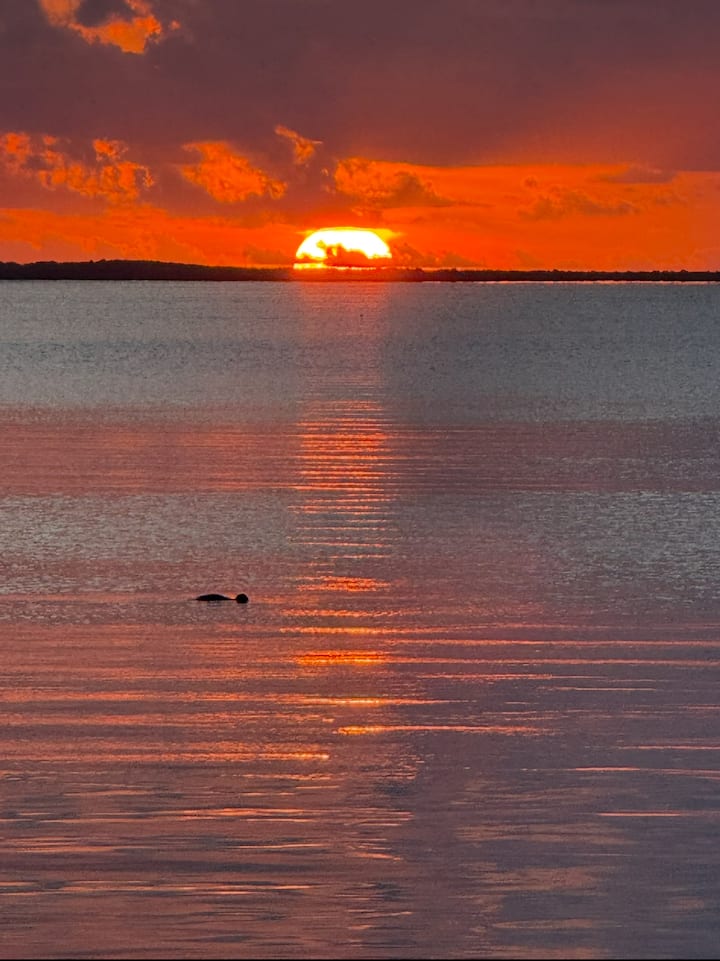 Bliss On The Beach! - Islamorada, FL
