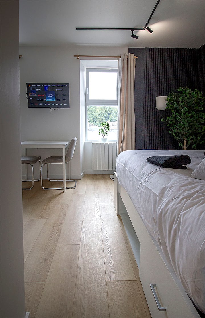 Superbe Studio En Hypercentre - Quimper