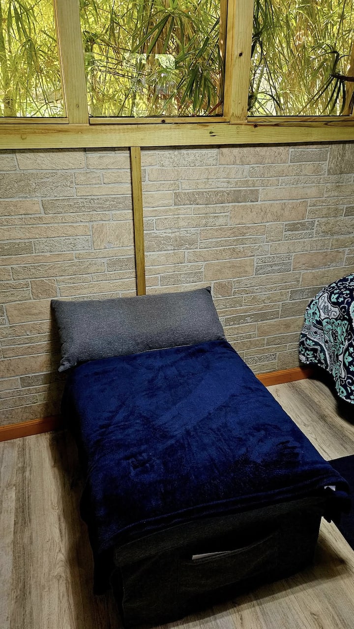 Green Paradise Escape - Okaloacoochee Slough State Forest, Felda