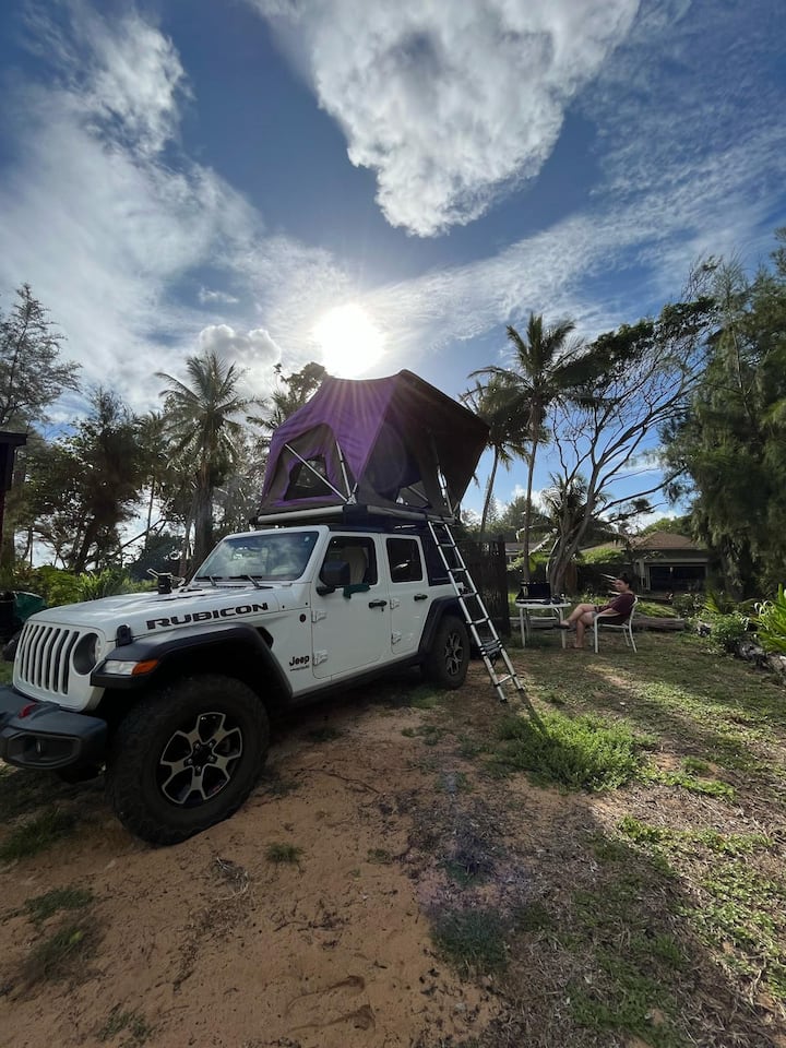 Island Breeze Explore Kauai In Comfort & Style - Kauai, HI