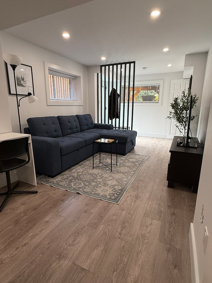 Comfort New Bsmt Apartment - Toronto, ON