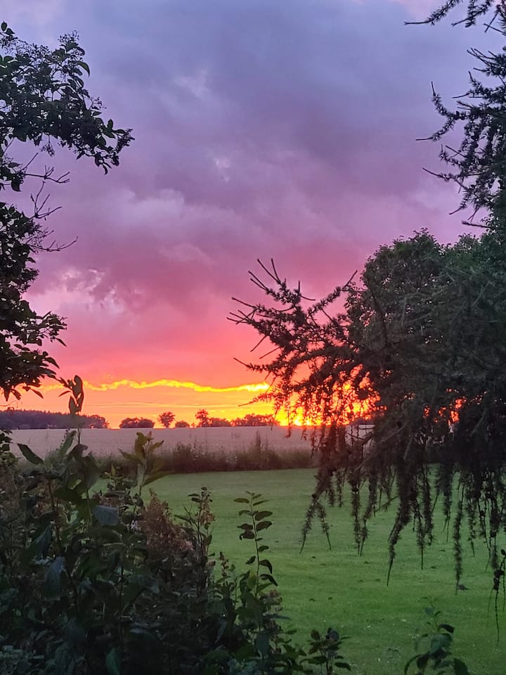 Alte Schmiede - Weites Land - Wittenberg