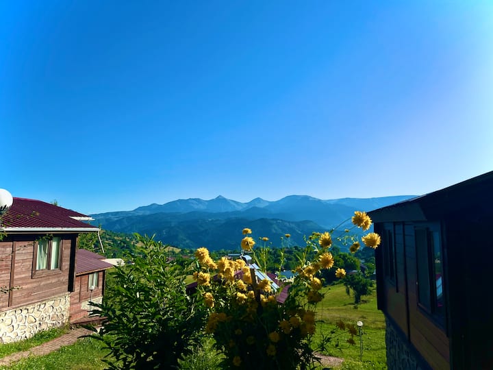 Laset Bungalov - Artvin